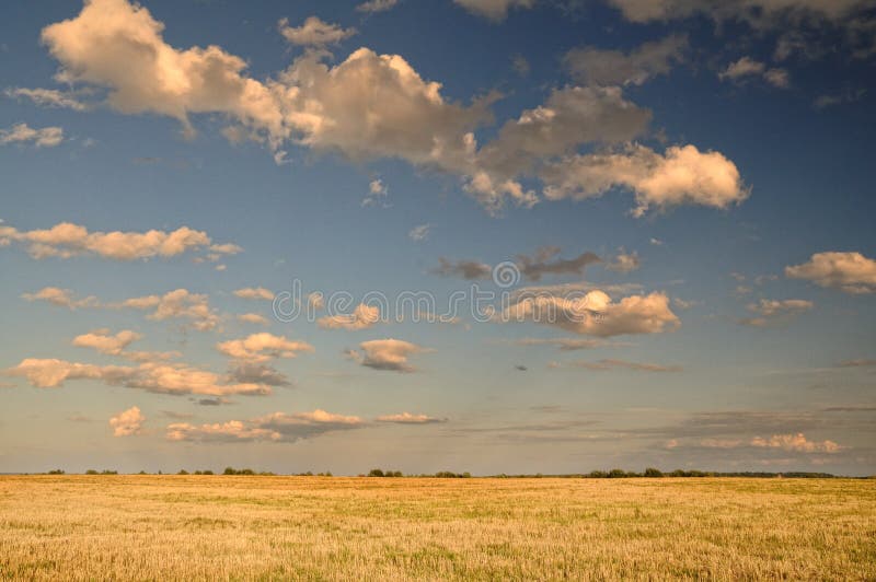 Clouds over the field. stock photo. Image of shadow - 123911330