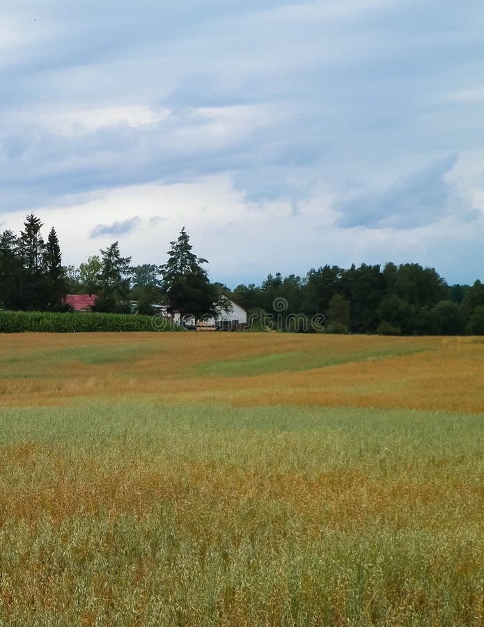 Clouds Over Field in Kashubia Stock Image - Image of idyllic, forested ...