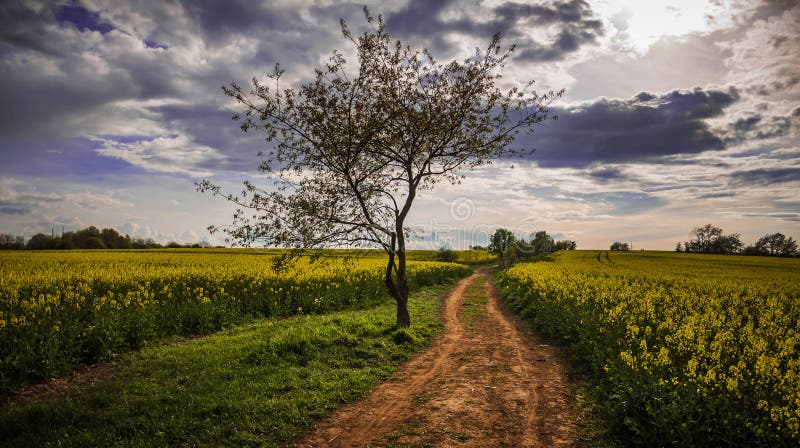 Clouds over the Field stock photo. Image of clouds, landscape - 53642224
