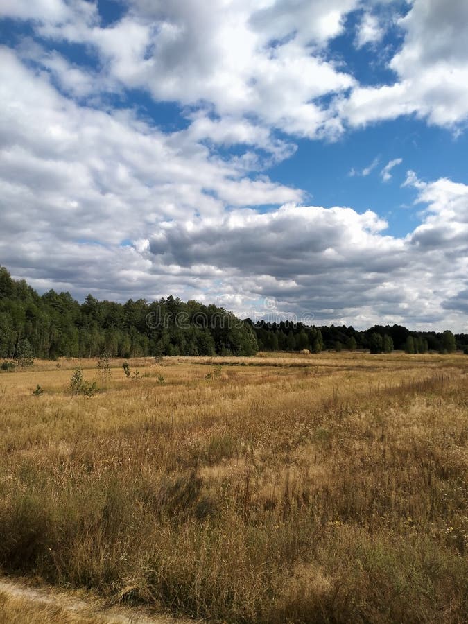 Clouds over the field stock photo. Image of horizon - 256522990