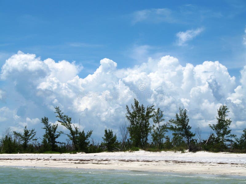 Clouds over Florida Beach stock image. Image of trees - 10240171