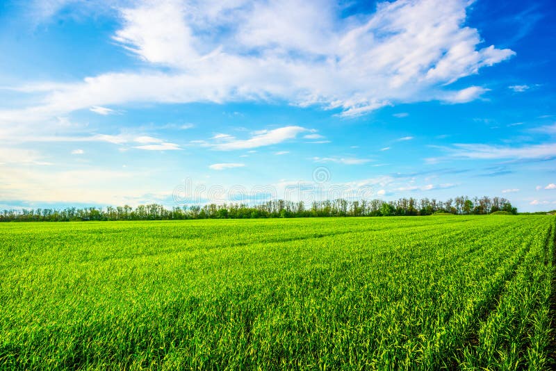 Clouds over green field stock image. Image of cloud - 147390581