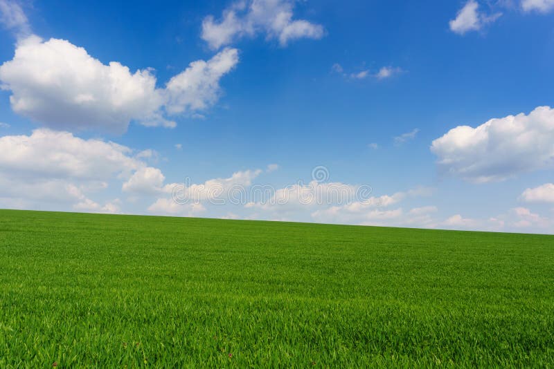 Large Clouds Over Cultivated Field in Countryside Stock Photo - Image ...