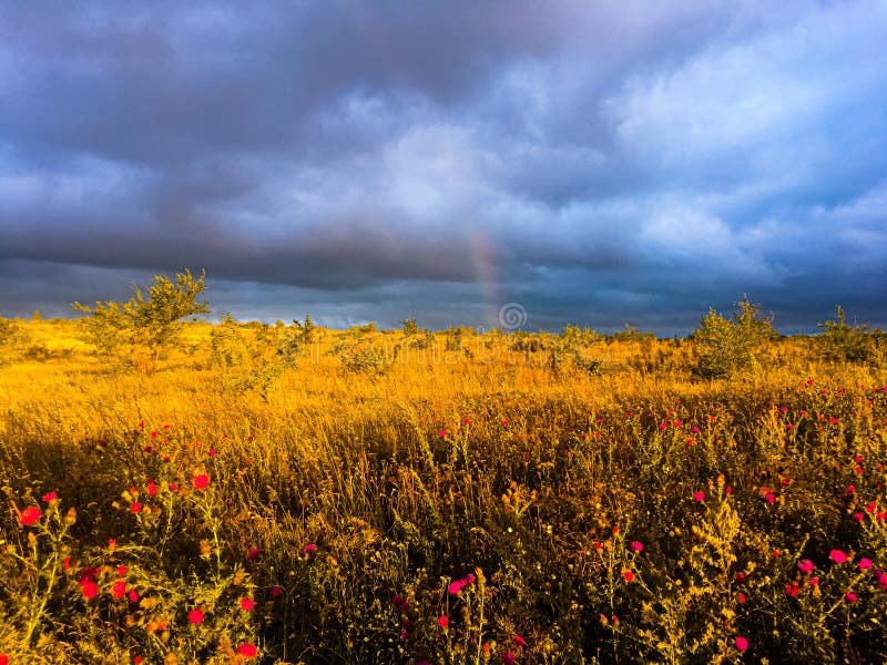 Clouds Over the Morning Field Stock Image - Image of field, landscape ...