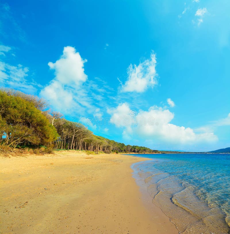 Mugoni Beach Under a Cloudy Sky Stock Photo - Image of nature ...