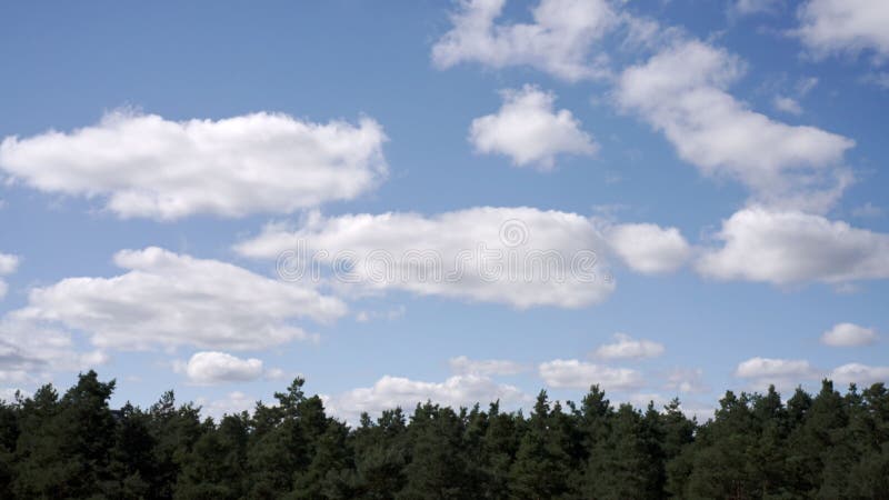 Clouds Overlooking a Beautiful Evergreen Forest. Stock Photo - Image of ...