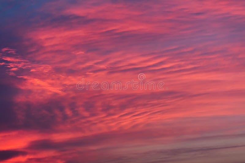 Clouds. Pink Wave, Heavenly Ocean Stock Photo - Image of skyline, water ...