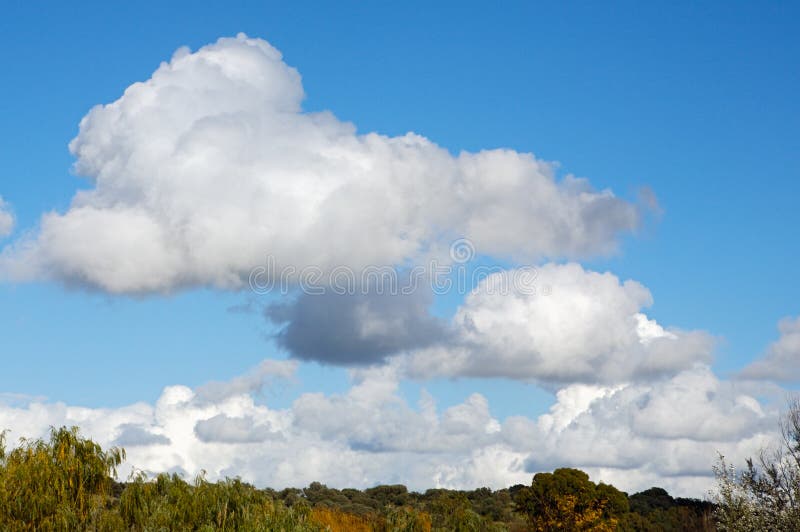 Clouds and plants stock image. Image of sailing, cloud - 1672353