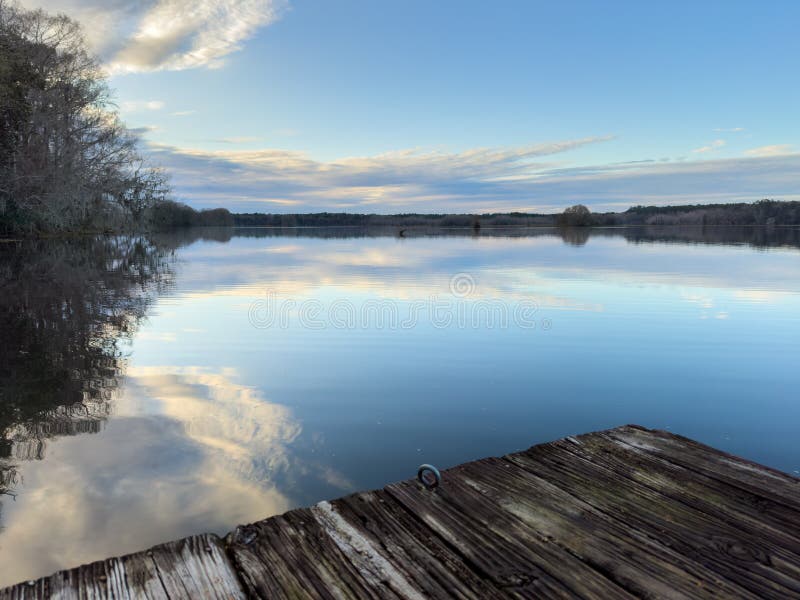 Smooth Lake Water Surface Under Bright Blue Sky and Closeup Maple Tree ...
