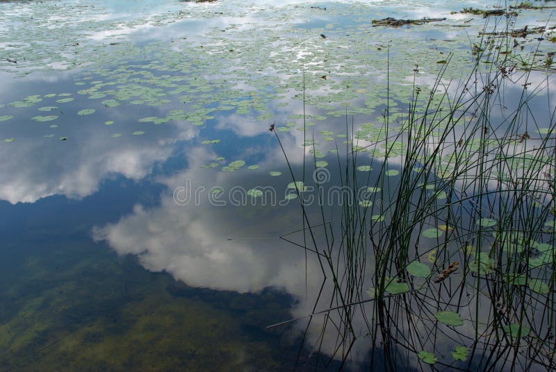 Reflection of Clouds in Water Stock Image - Image of fire, glowing ...