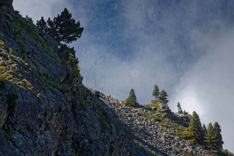 Clouds Rise from the Valley and Surround the Slopes and Trees Stock ...