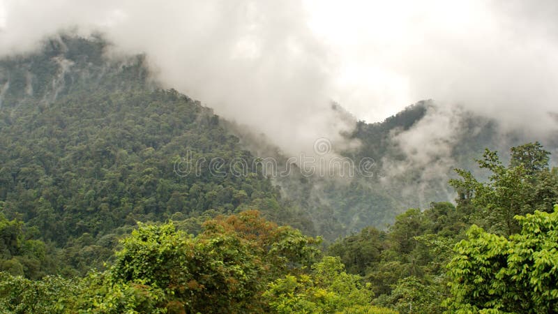286 Ecuador Ecuador Mindo Valley Stock Photos - Free & Royalty-Free ...