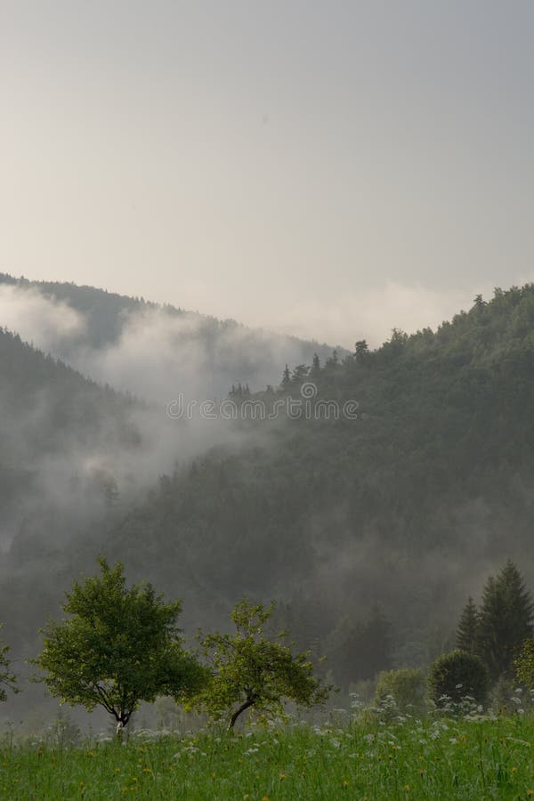 Clouds Rolling Over the Forest Stock Photo - Image of valley, hill ...