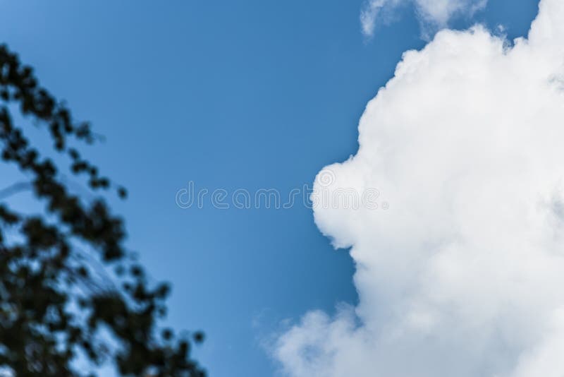 Clouds in the Sky that Look Like Faces Pareidolia Stock Image - Image ...