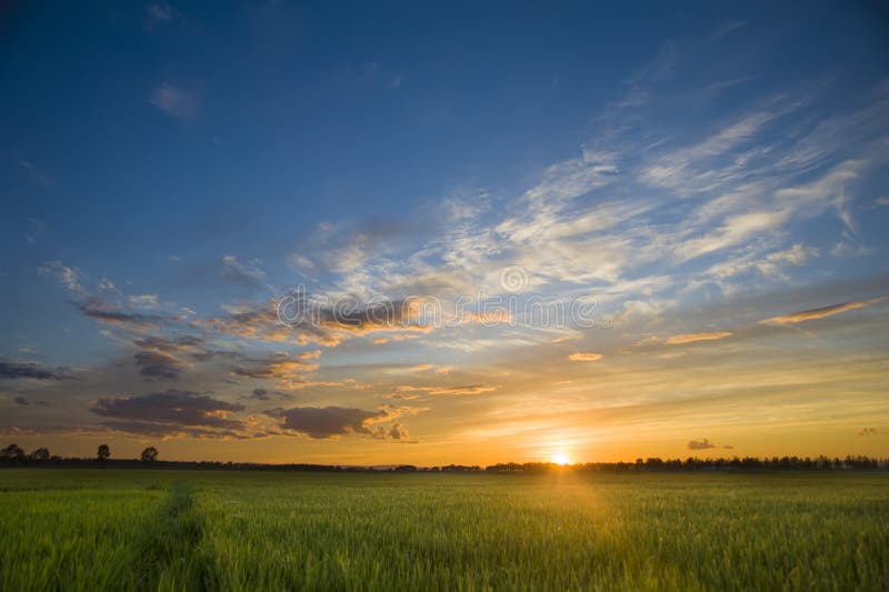 Clouds Sky and Setting Sun in the Field Stock Image - Image of blue ...