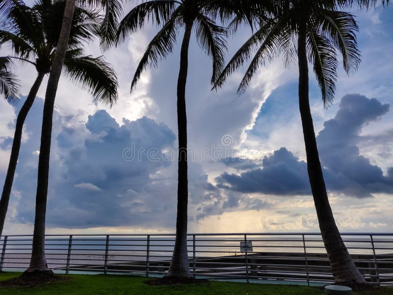 Clouds Sky after Storm, Tropical Beach with Palm Trees Stock Image ...