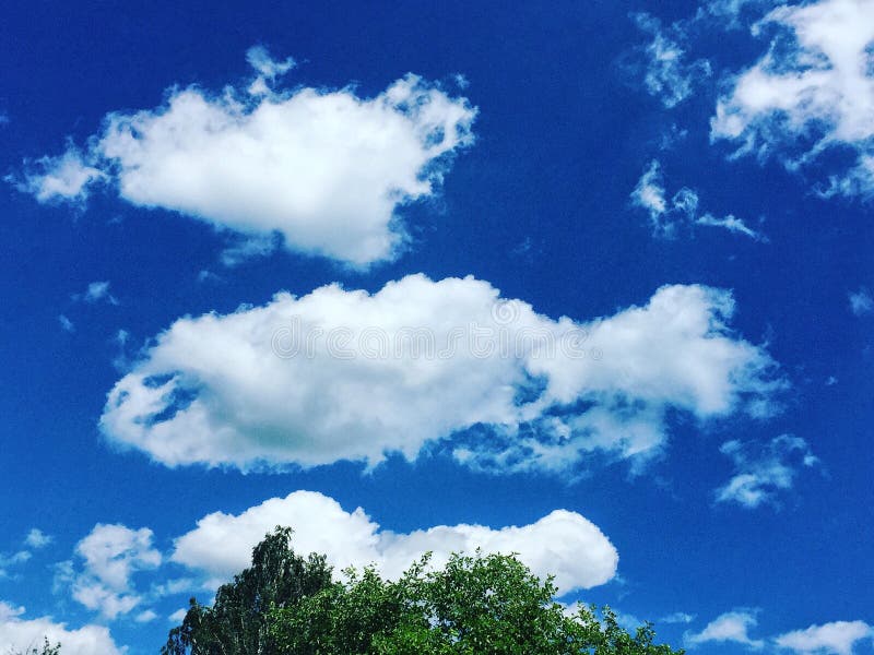 Fishclouds Stock Photos - Free & Royalty-Free Stock Photos from Dreamstime