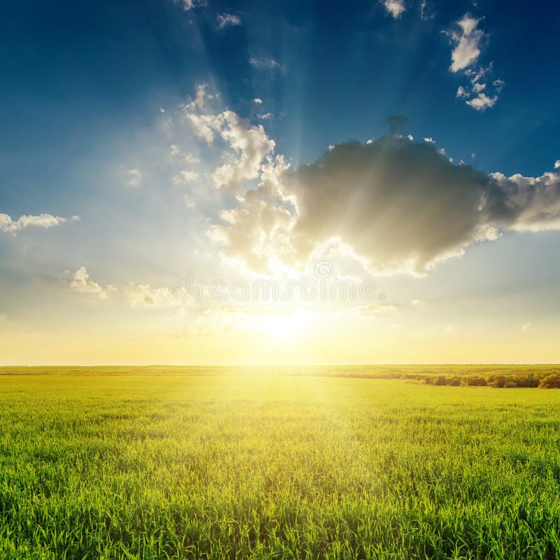 Clouds in Sunset Over Green Grass Field Stock Photo - Image of ...