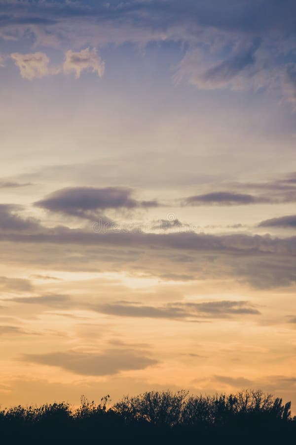 Clouds on Sunset Sky Over Trees Line Stock Photo - Image of morning ...