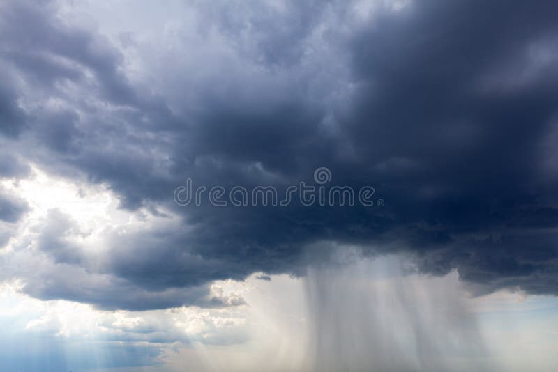 Torrential Rain in the Tropical Rainfores Stock Image - Image of forest ...
