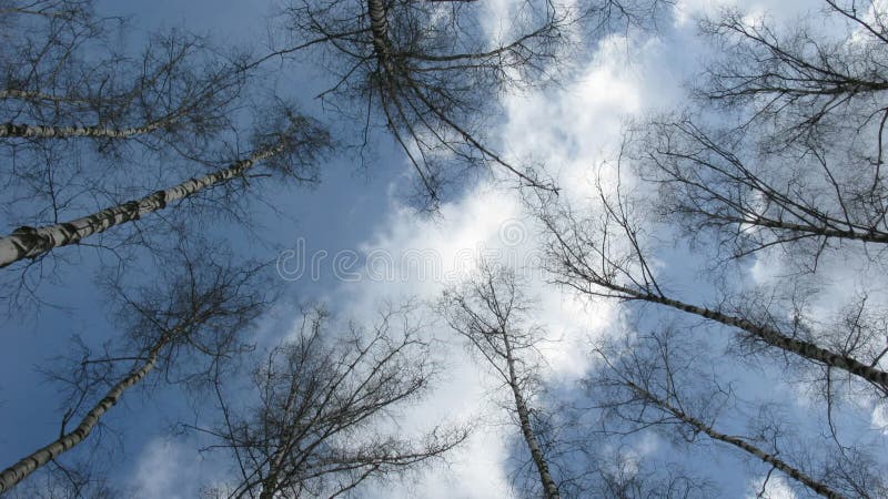 Time Lapse 4k. Beautiful Sunrise at Putra Mosque, Putrajaya. Showing a ...