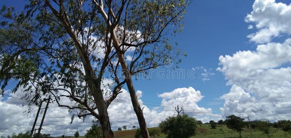 Clouds Tree Current Pol and Sky Stock Photo - Image of current, tree ...