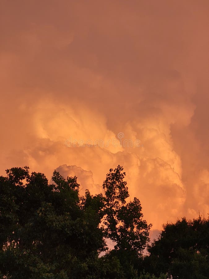 Clouds in the treeline stock image. Image of cumulus - 221341619