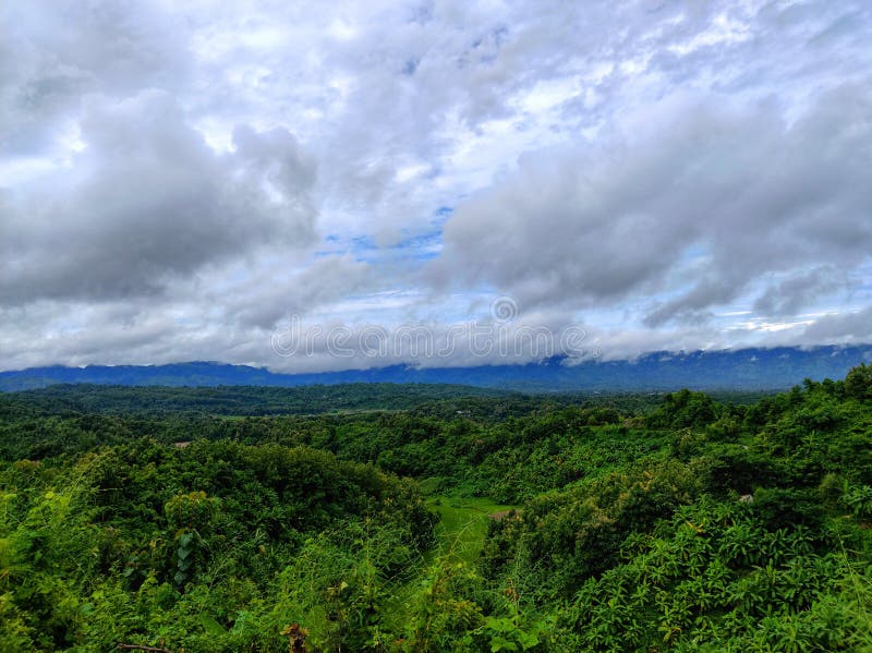 Clouds and Trees at Alikadam Stock Image - Image of environment, trees: 259375925