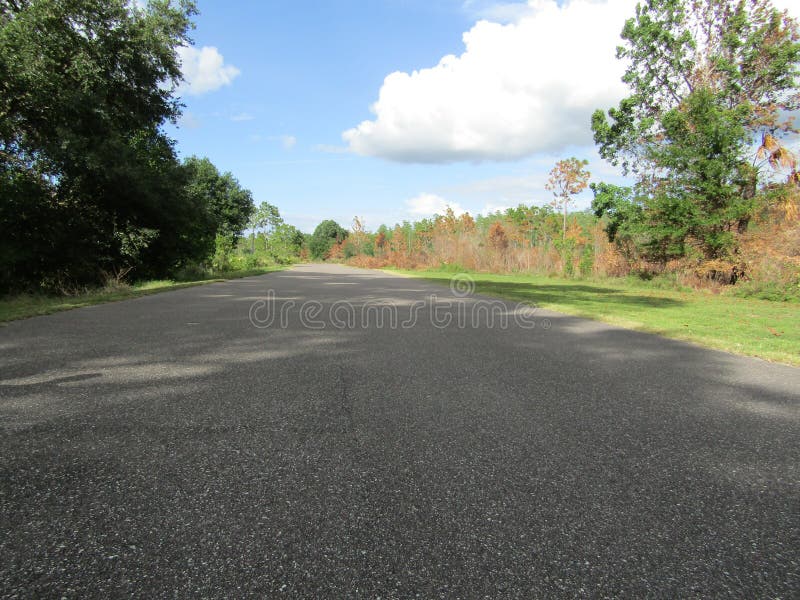 Clouds, Trees on a Open Road Stock Image - Image of changing, open ...
