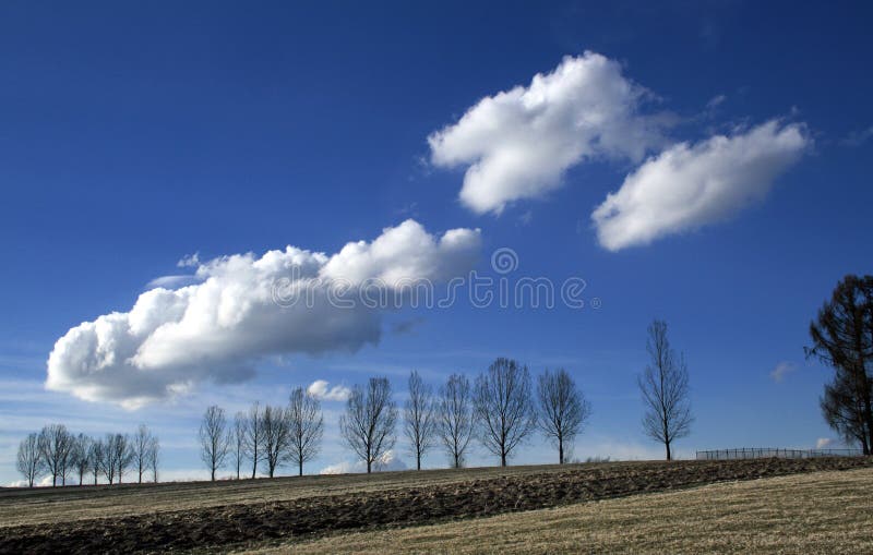 Clouds and Trees_rural Landscape Stock Photo - Image of imagery ...
