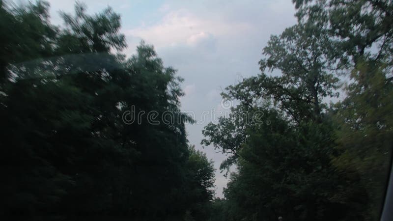 Clouds and Trees View from Car Stock Video - Video of scenic, travel ...