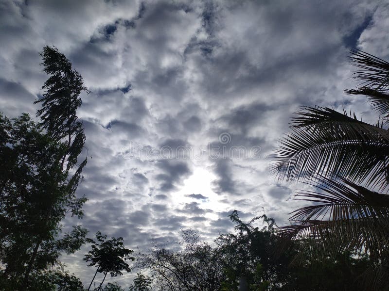 Clouds Wind Sunrise Beautiful Stock Photo - Image of grass, dawn: 219492820