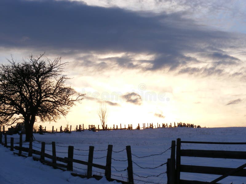 Clouds in Winter - Solitude Tree Stock Image - Image of tree, mountains ...