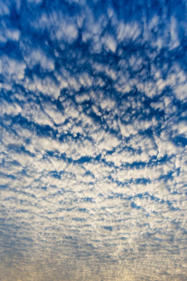 Altocumulus Middle-altitude Cloud in Stratocumuliform - Natural ...