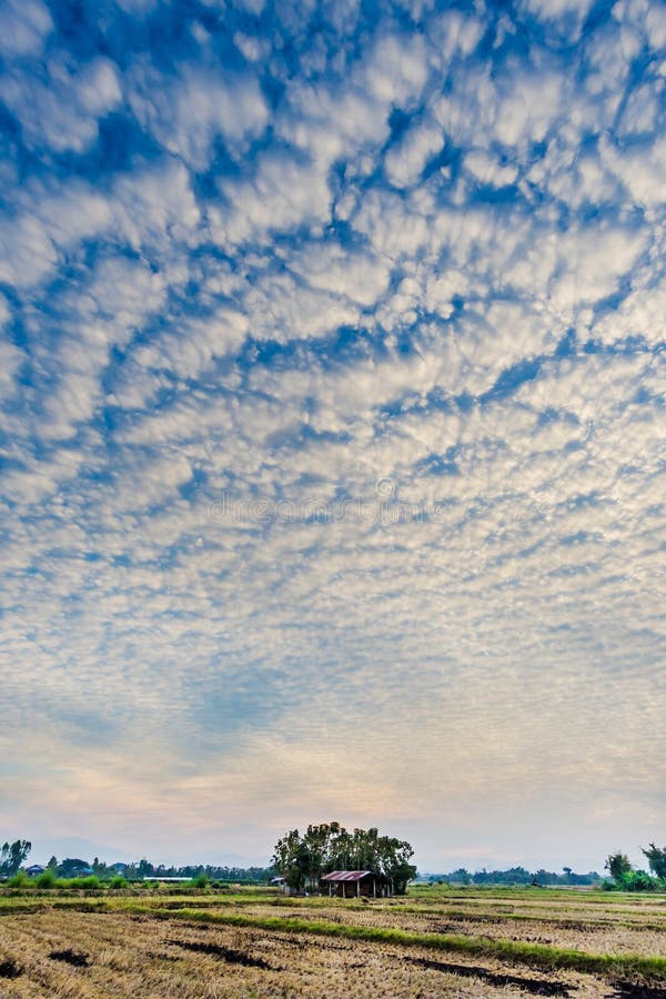 Cloudscape with Altocumulus Clouds Stock Image - Image of formation ...