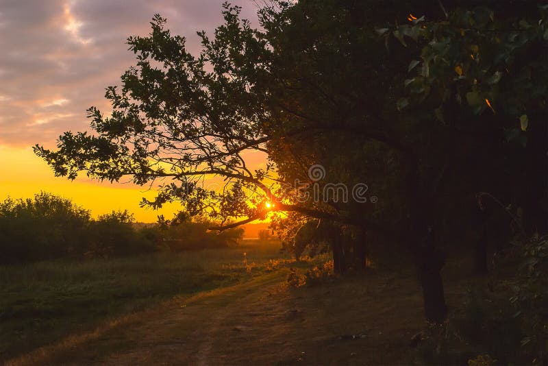 Cloudy Autumn Morning. Fresh Nature. Bright Sunrise in the Meadow ...