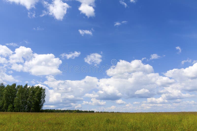Cloudy Blue Sky Over the Field and Forest Stock Photo - Image of ...