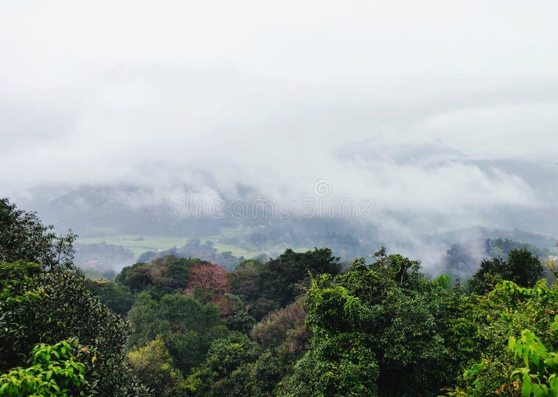 Cloudy Coorg Climate Capture Stock Image - Image of greenery, capture ...
