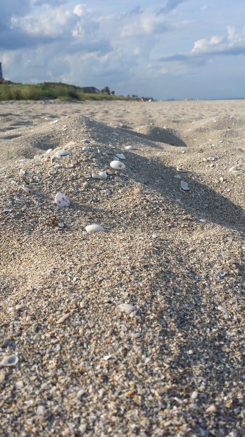 Cloudy Day Beach stock image. Image of green, beach, ocean - 43257787