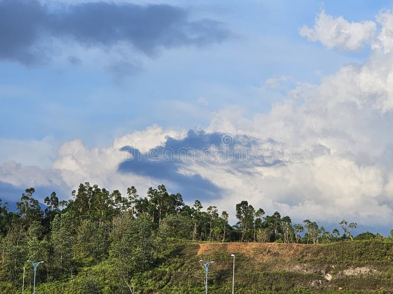 Cloudy Day Black Cloud Form Shape Like a Bird Stock Photo - Image of ...