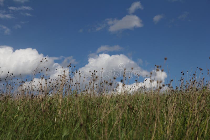 Cloudy day stock image. Image of europe, green, summer - 56040121
