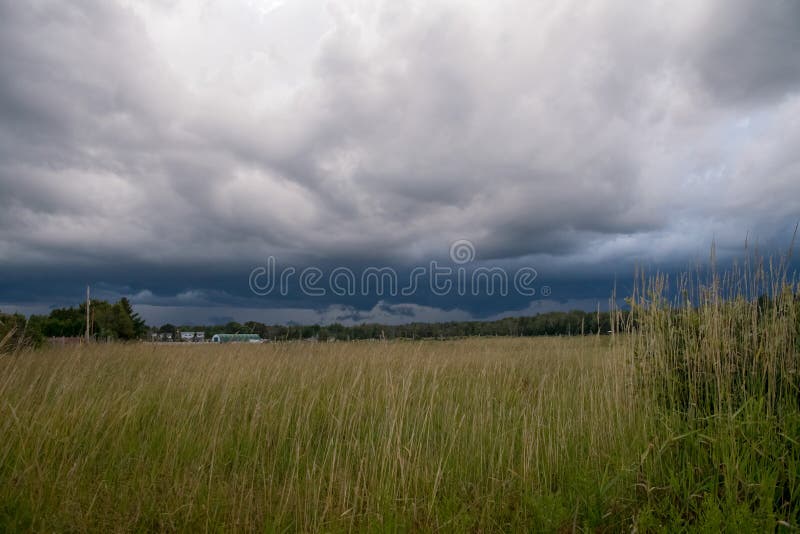Cloudy Day in Field with High Grass Stock Photo - Image of cloudy ...