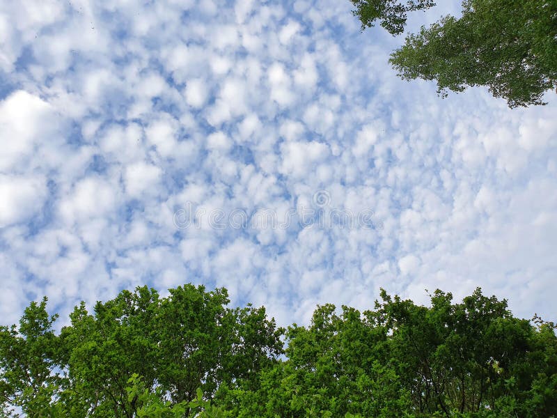 A Beautiful Cloudy Sky Over the Trees Stock Photo - Image of trip ...