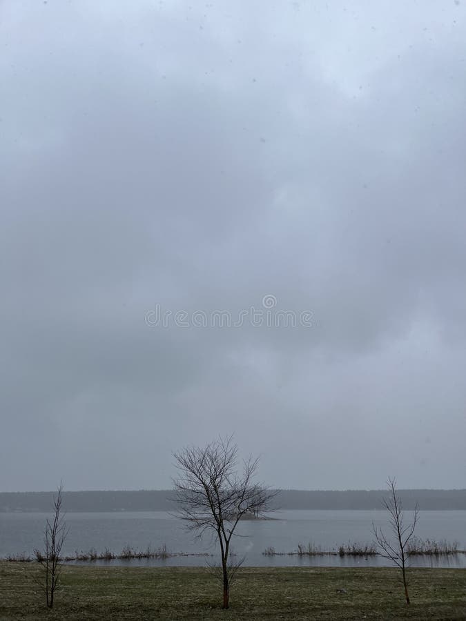Cloudy day, lake and trees stock photo. Image of morning - 346002140