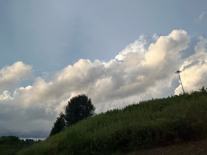 Cloudy Day Over the Trees and Grasses Stock Image - Image of natural ...