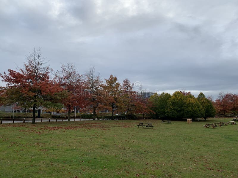 Cloudy day in the park stock photo. Image of leaf, lawn - 229599408