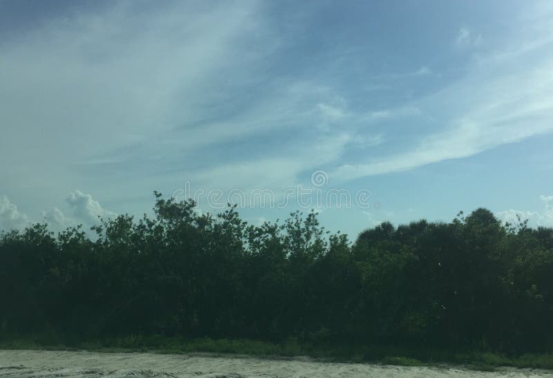 Cloudy day stock image. Image of wind, trees, cloudy - 169041797