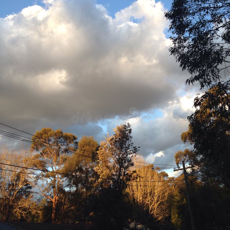 Cloudy days stock image. Image of afternoon, cloudy, trees - 78590935
