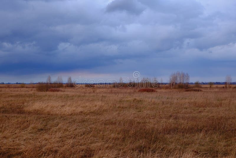 Cloudy Dramatic Sky Over the Autumn Steppe. Bright Dry Field Herbs ...