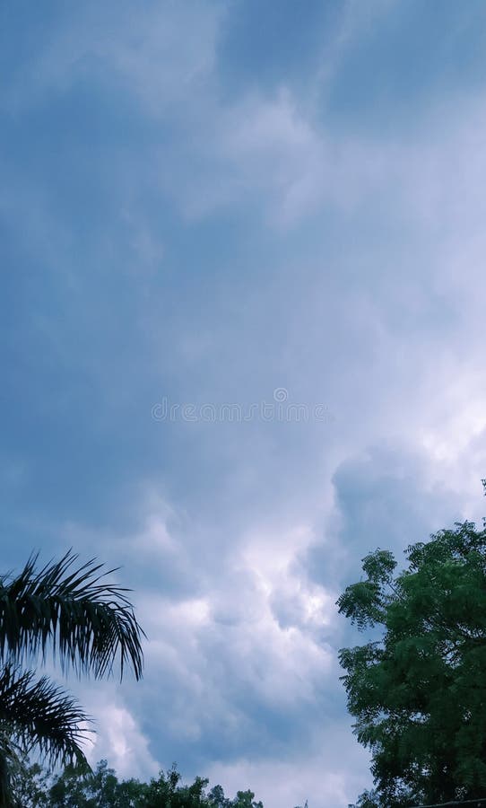 Cloudy dusty sky stock photo. Image of grass, plant - 192468774